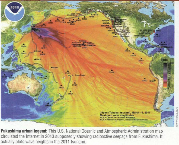 Primary Source Analysis – The 2011 Fukushima Nuclear Meltdown