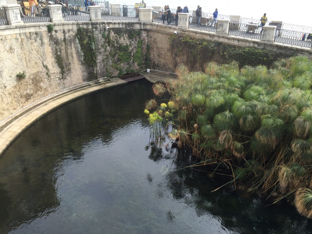 The Spring of Arethusa