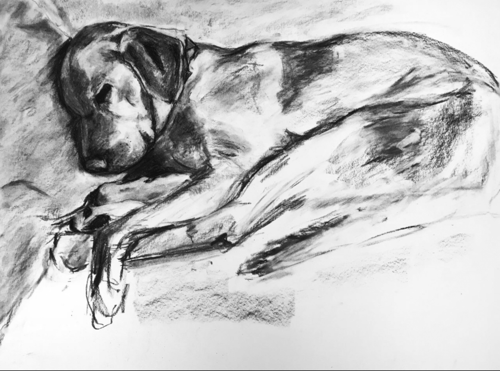 Snuggle – Drawing II Online