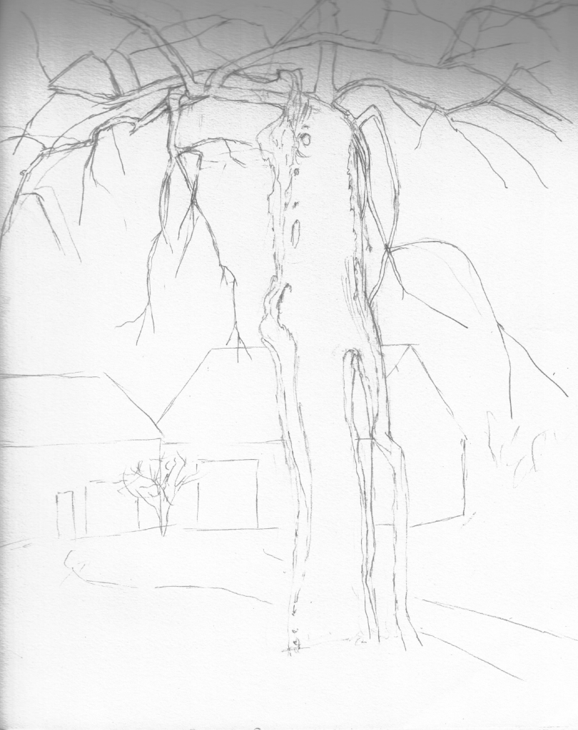 Walking Trees – Drawing II Online